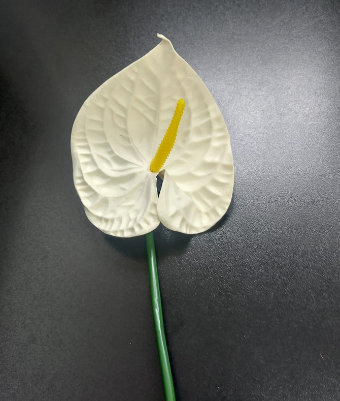 Produse – Lucidius Decor